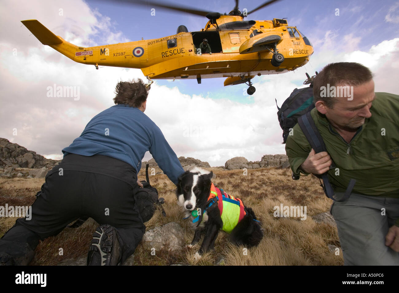 mountain rescue team members and search dog handler with dog are ...