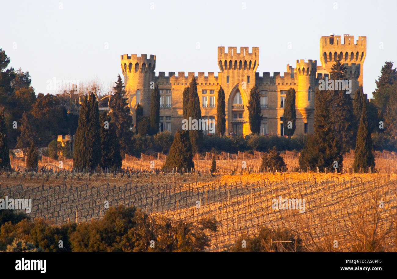 The vineyard with syrah vines and the chateau des fines roches ...