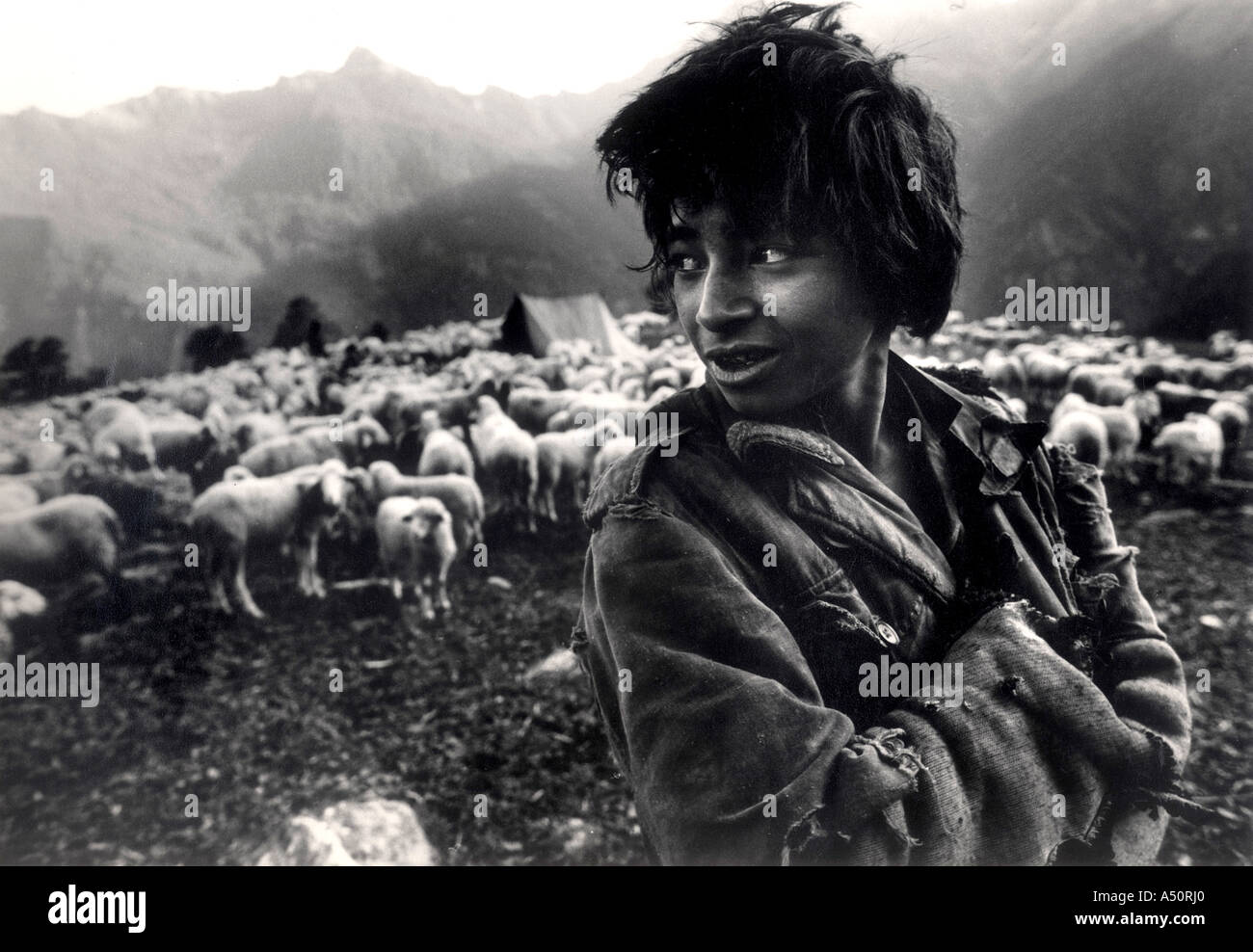 Shepherd boy hi-res stock photography and images - Alamy