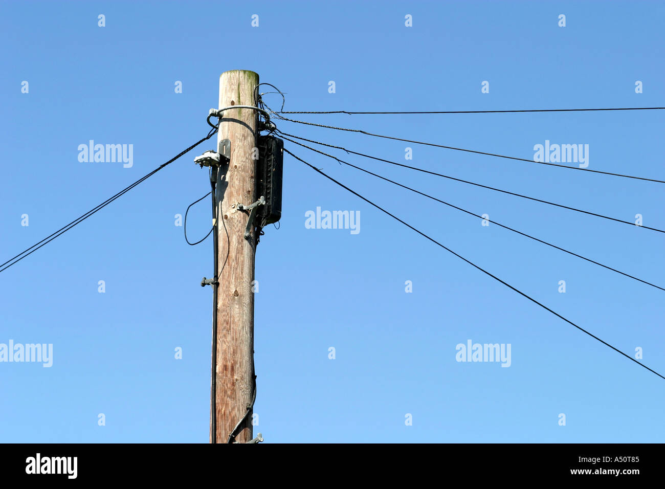 Telegraph pole and wires Stock Photo - Alamy