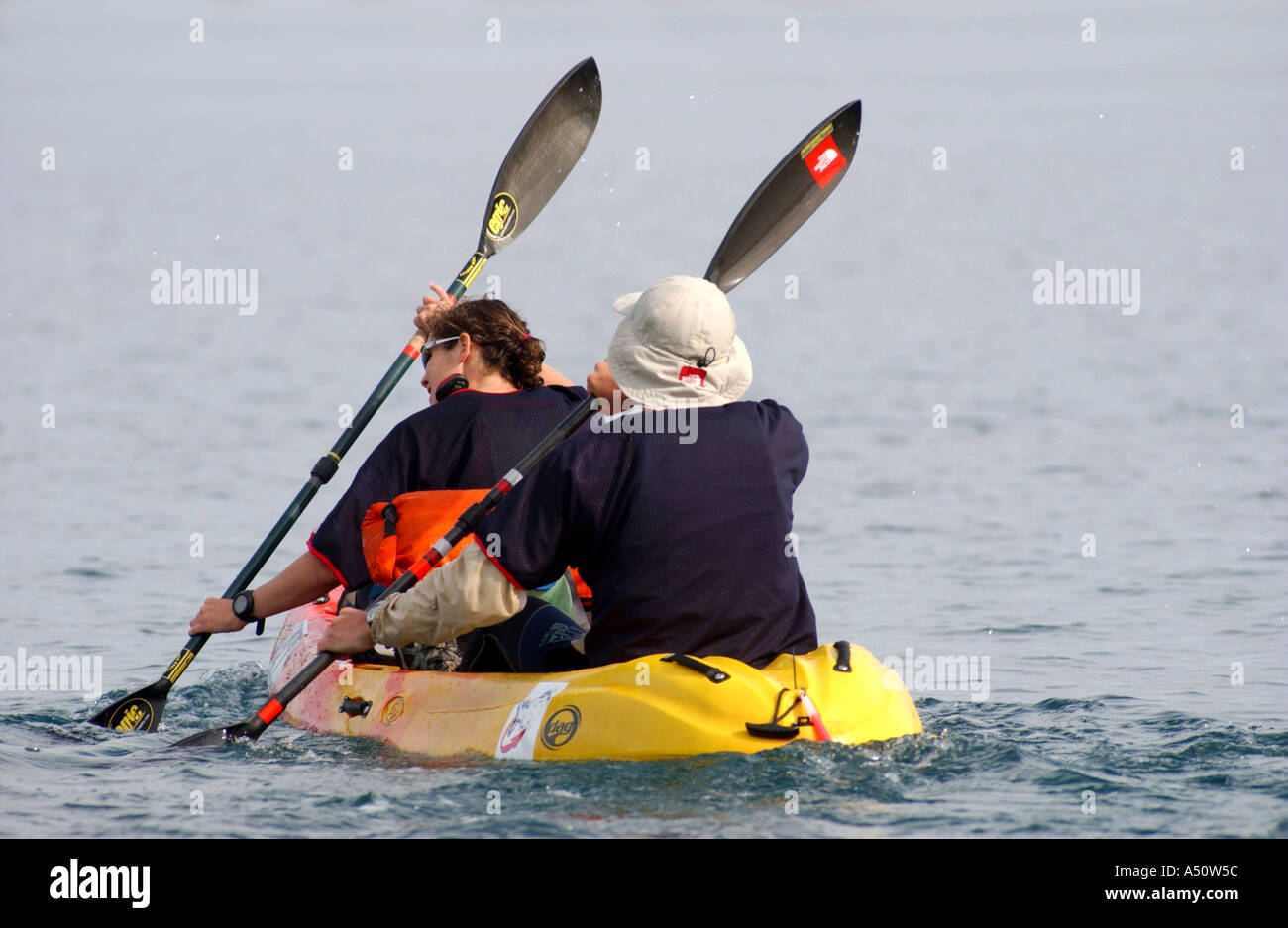 Adventure race athletes paddling kayaks Stock Photo - Alamy