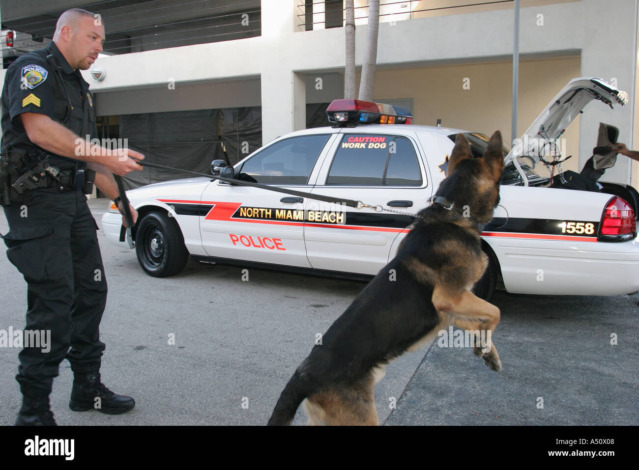 North Miami Police Department Florida Police Search For Person Who