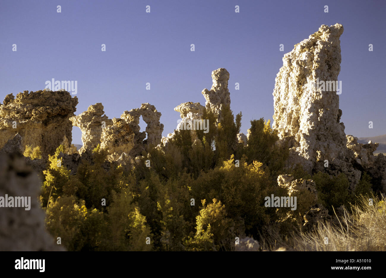 TUFA COLUMNS ON THE SHORES OF MONO LAKE LEE VINNING CALIFORNIA Stock ...
