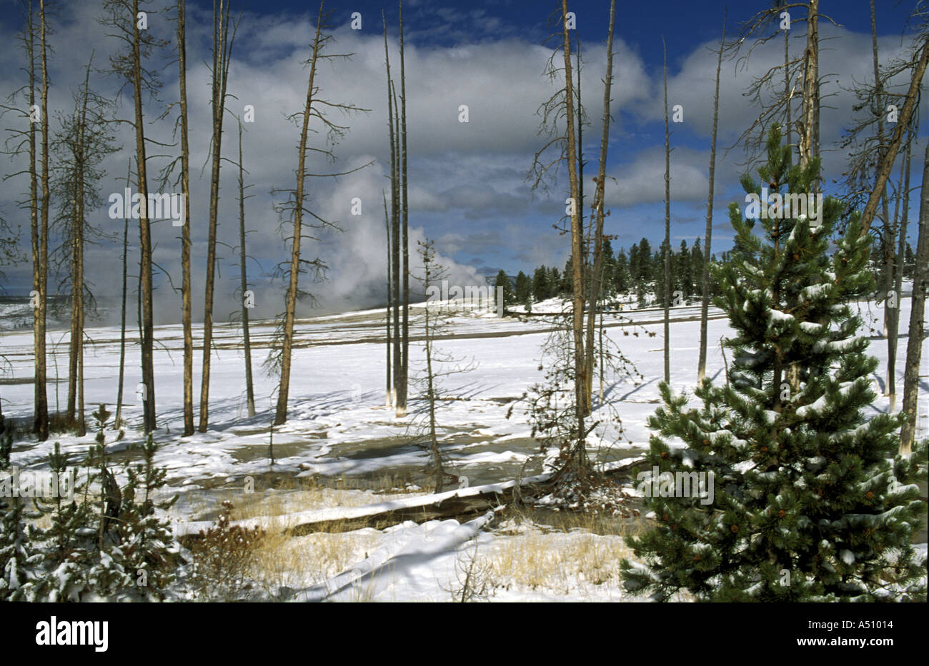 Hot springs basin yellowstone hi-res stock photography and images - Alamy