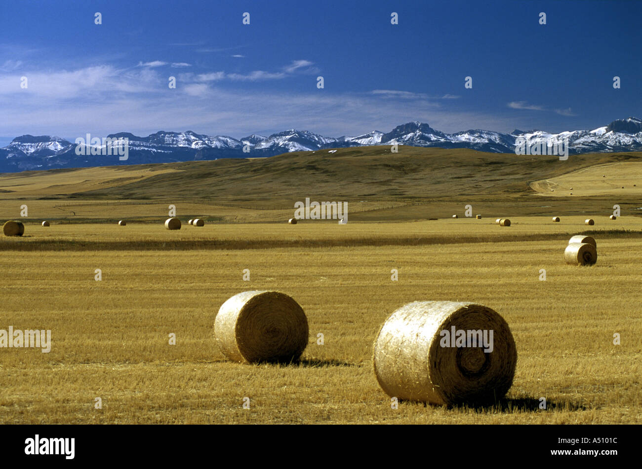 PRAIRIES AND THE ROCKY MOUNTAINS MONTANA USA Stock Photo - Alamy