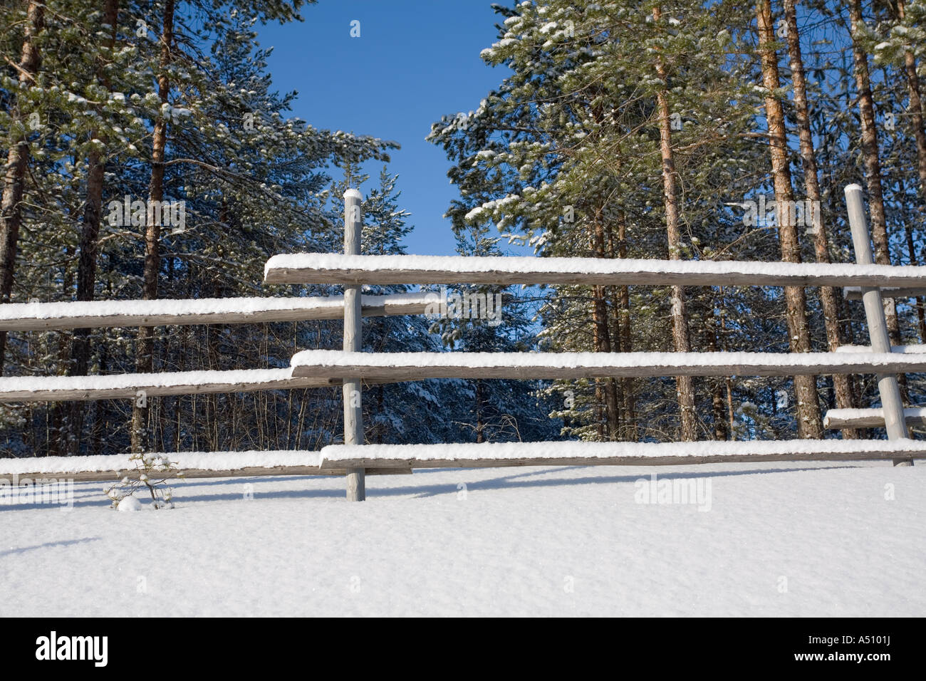 Snow covered forest in sotkamo finland hi-res stock photography and ...