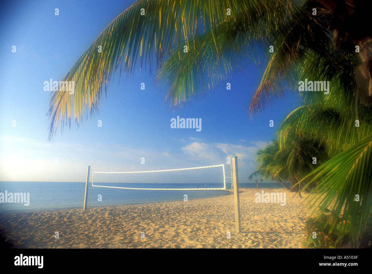 Volleyball court on beach in Key West Florida USA Stock Photo - Alamy