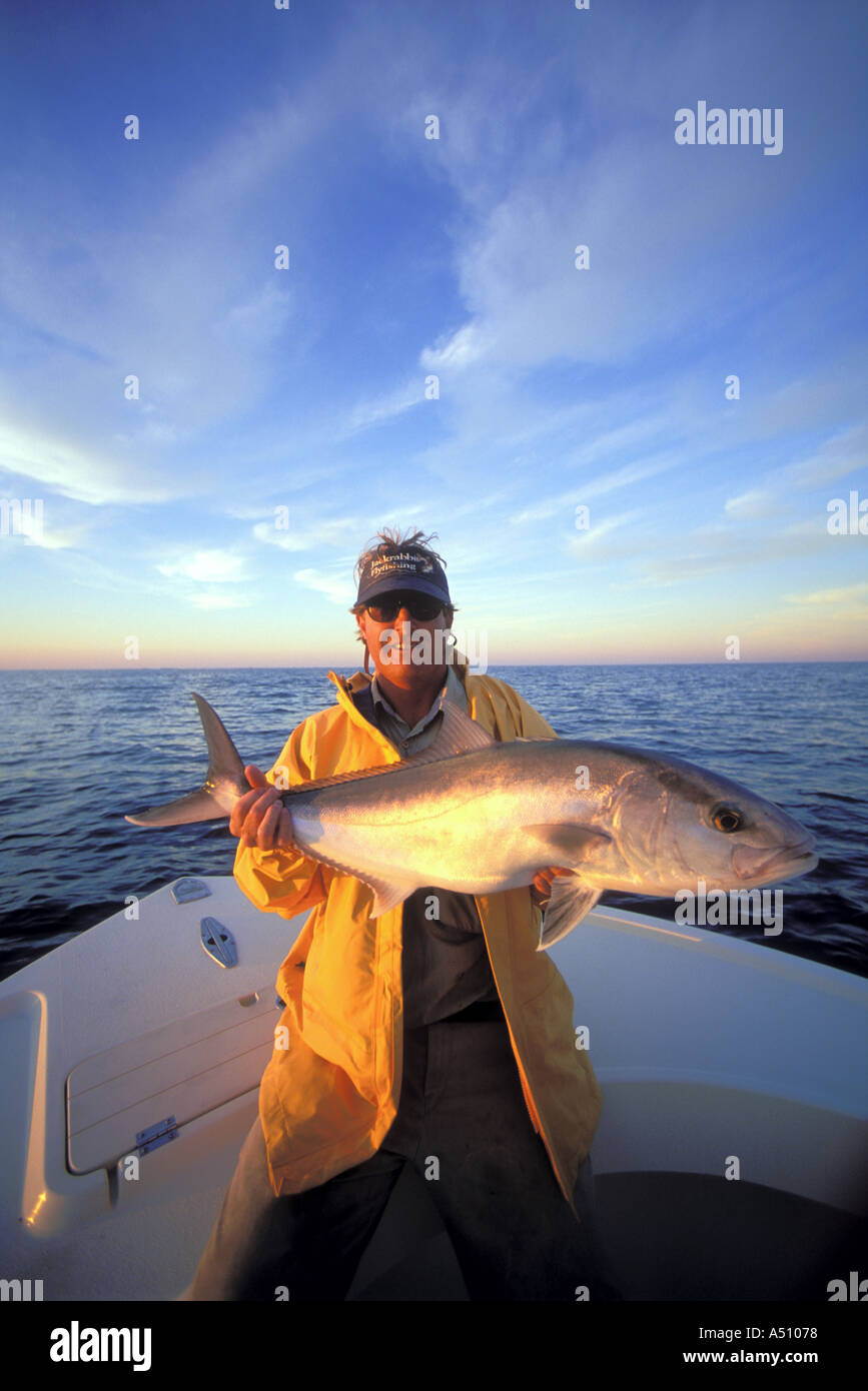 Amberjack fish fishing hi-res stock photography and images - Alamy