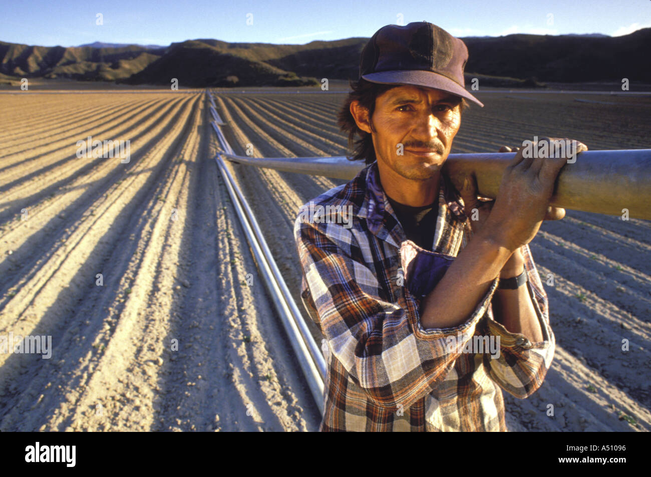 Farm Worker High Resolution Stock Photography and Images - Alamy