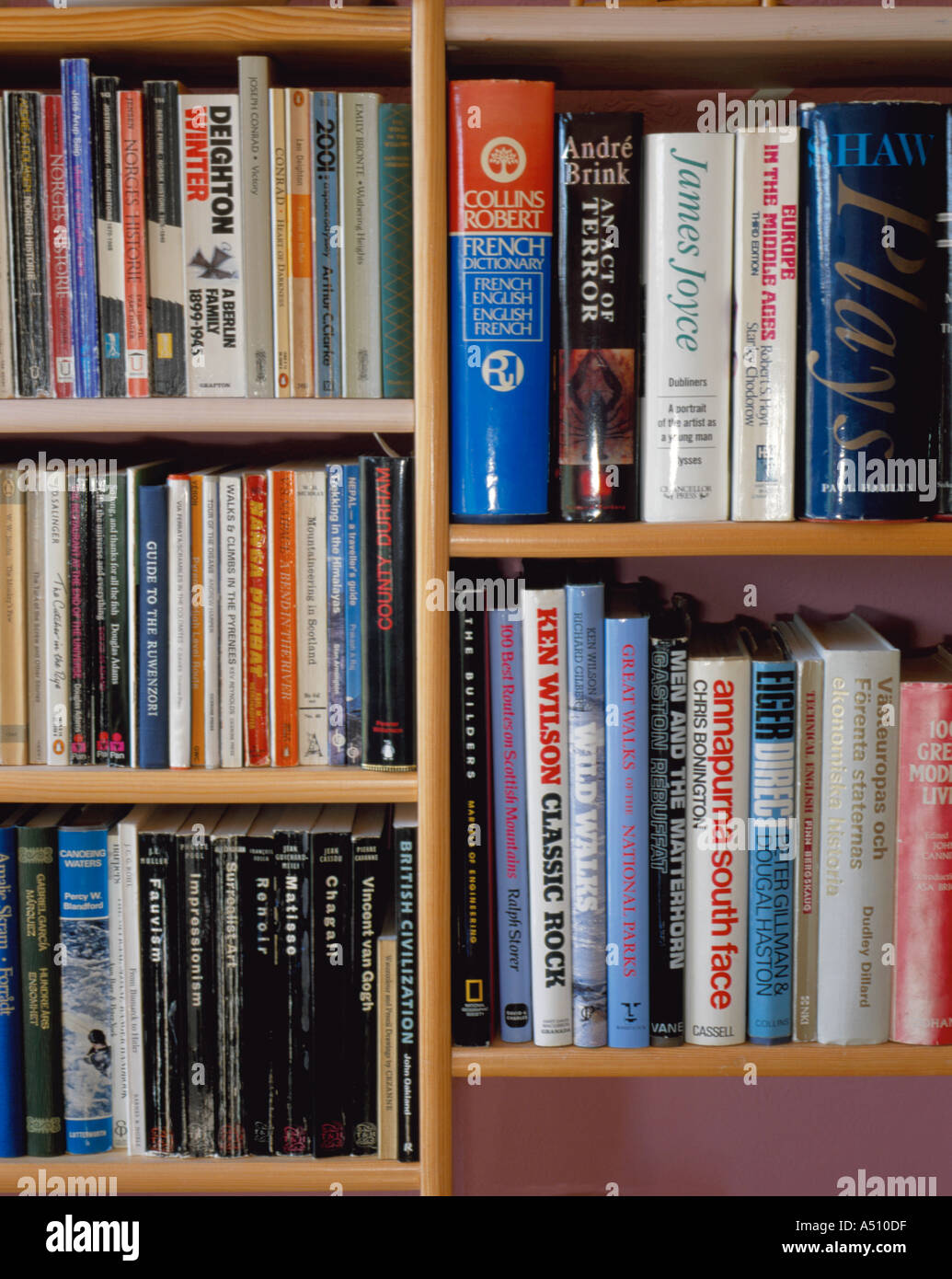 Display of books in a bookcase Stock Photo - Alamy