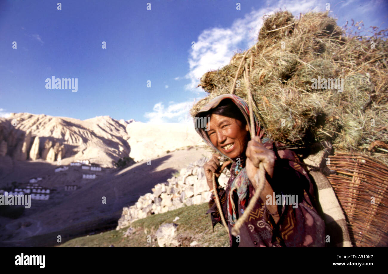 Woman Carrying Hay Stock Photo - Alamy