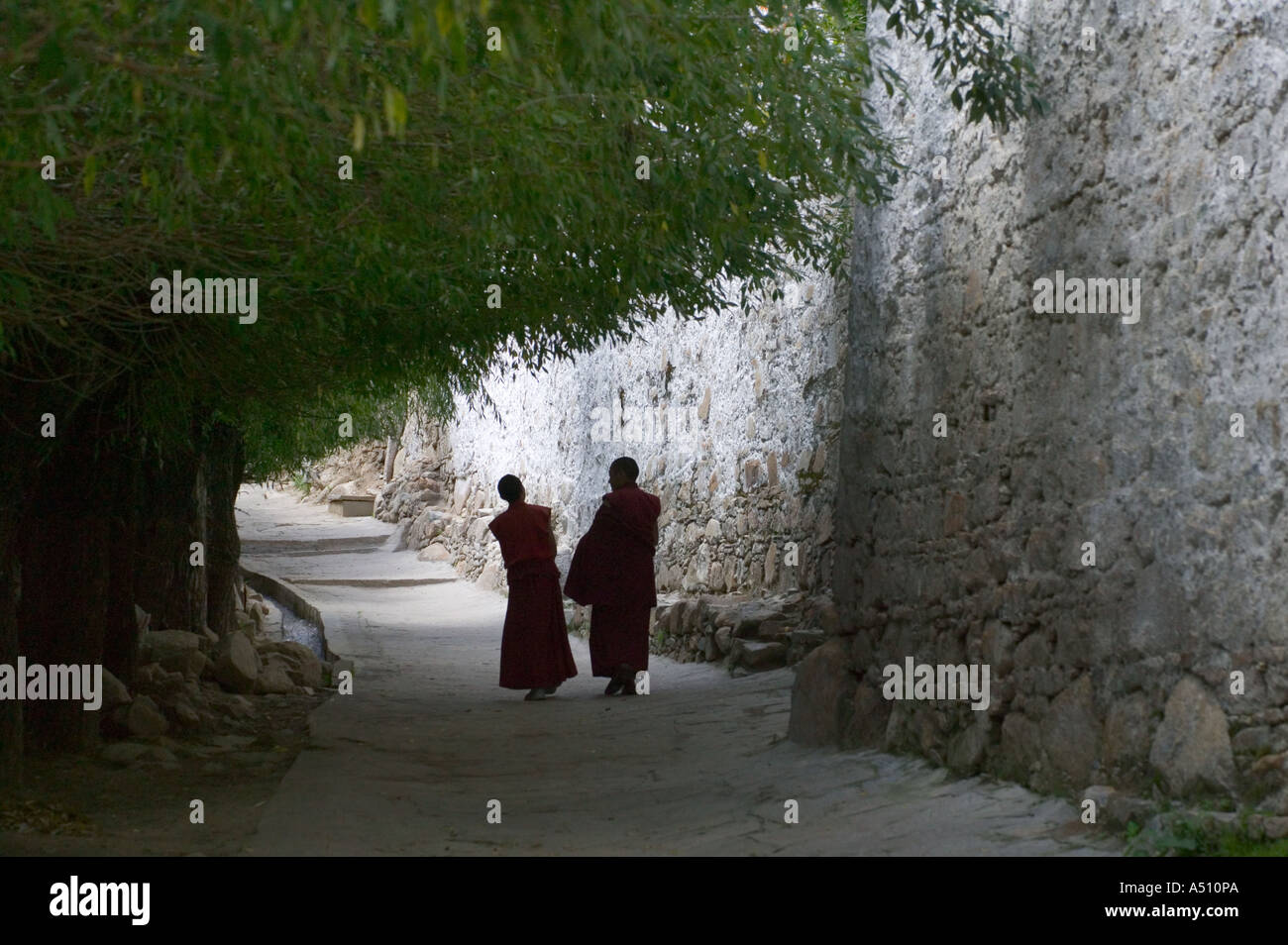 Tibet china travel monks sera hi-res stock photography and images - Alamy