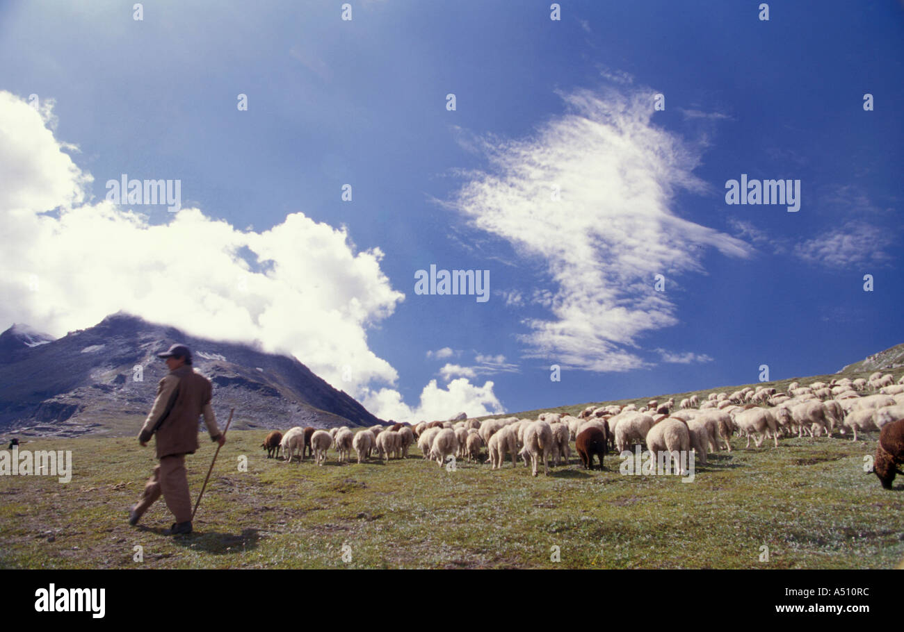 Sheep man hi-res stock photography and images - Alamy