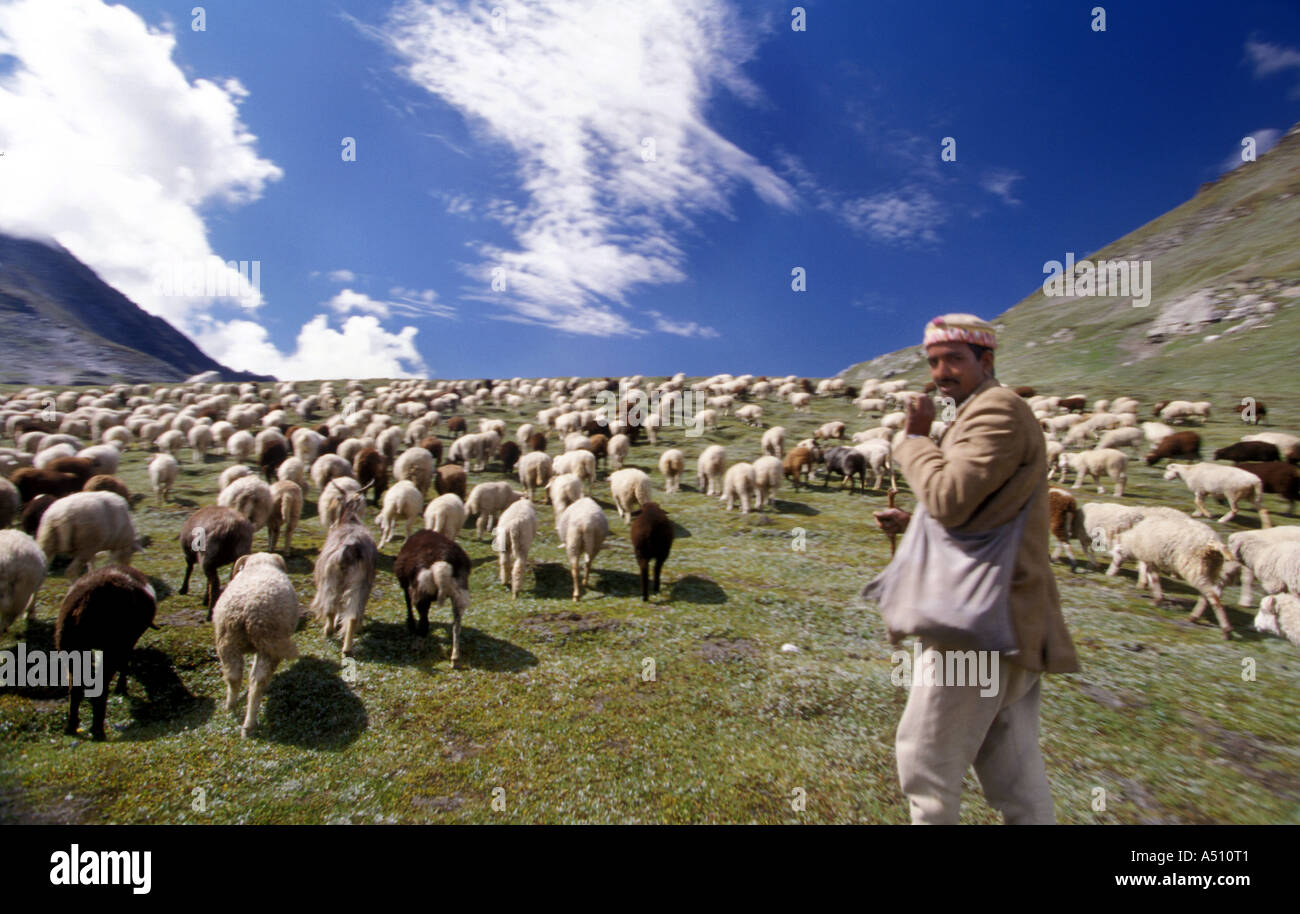 Sheep man hi-res stock photography and images - Alamy