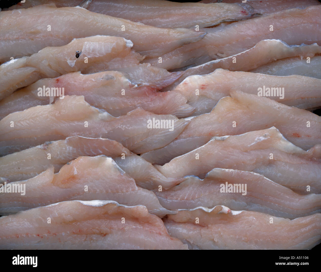 Small cod fillets Stock Photo - Alamy