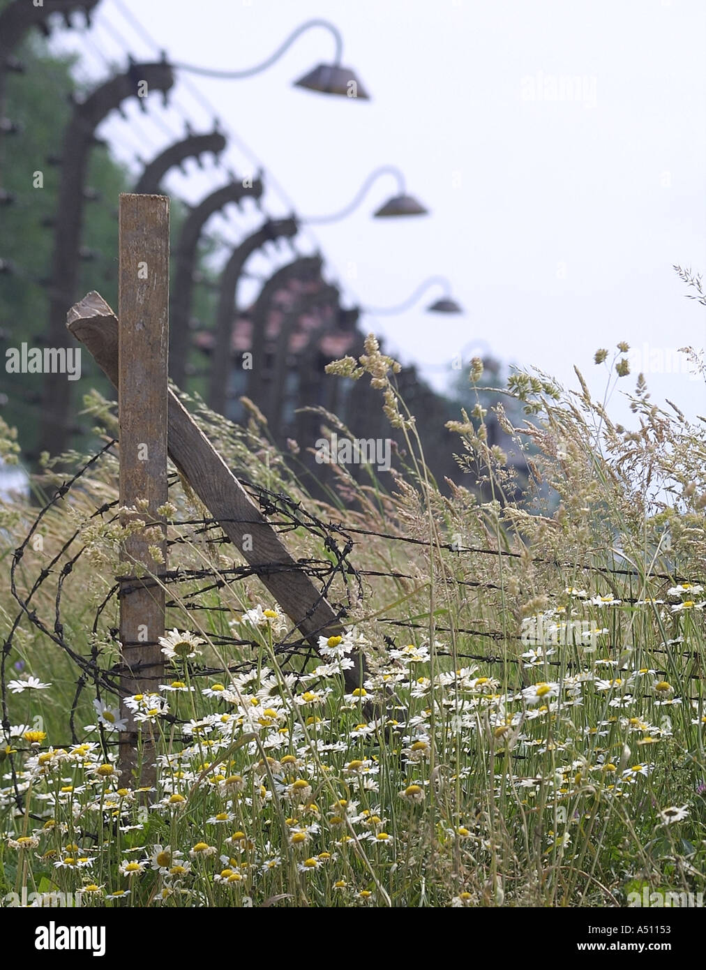 Fence auschwitz hi-res stock photography and images - Alamy