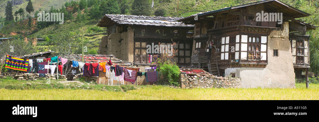 Traditional house with barley field in Paro Valley Bhutan Stock Photo ...