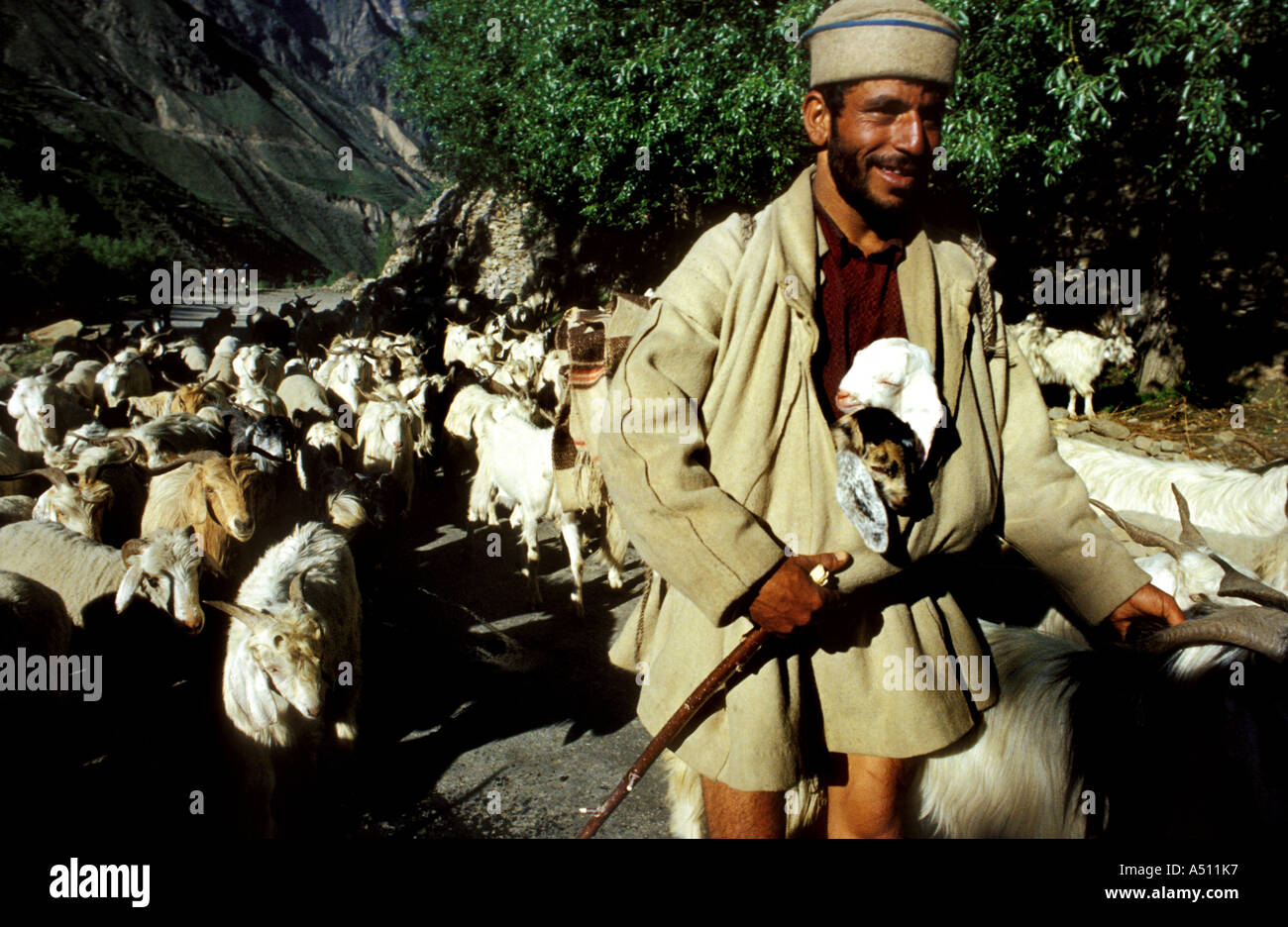 Shepherd and sheep Stock Photo - Alamy