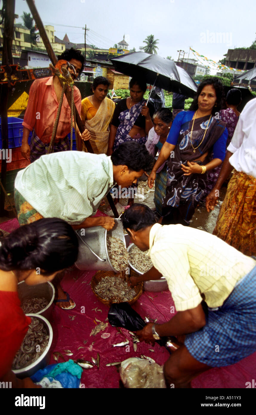View of a local fish market Goa India Stock Photo - Alamy