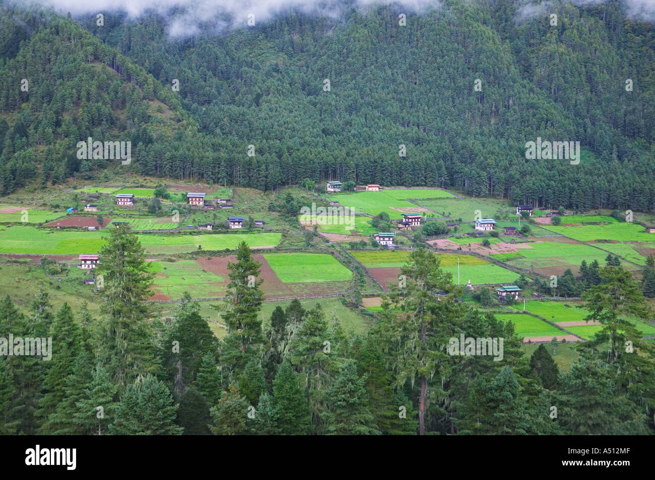 Village houses with farmlands in the Phobjikha Valley Bhutan Stock ...