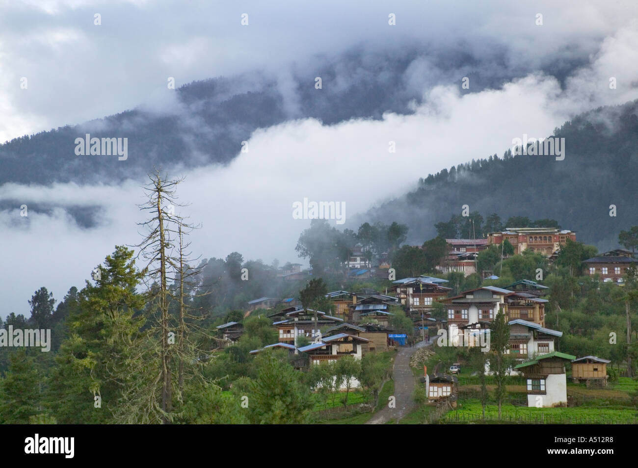 Village in the Phobjikha Valley Bhutan Stock Photo - Alamy