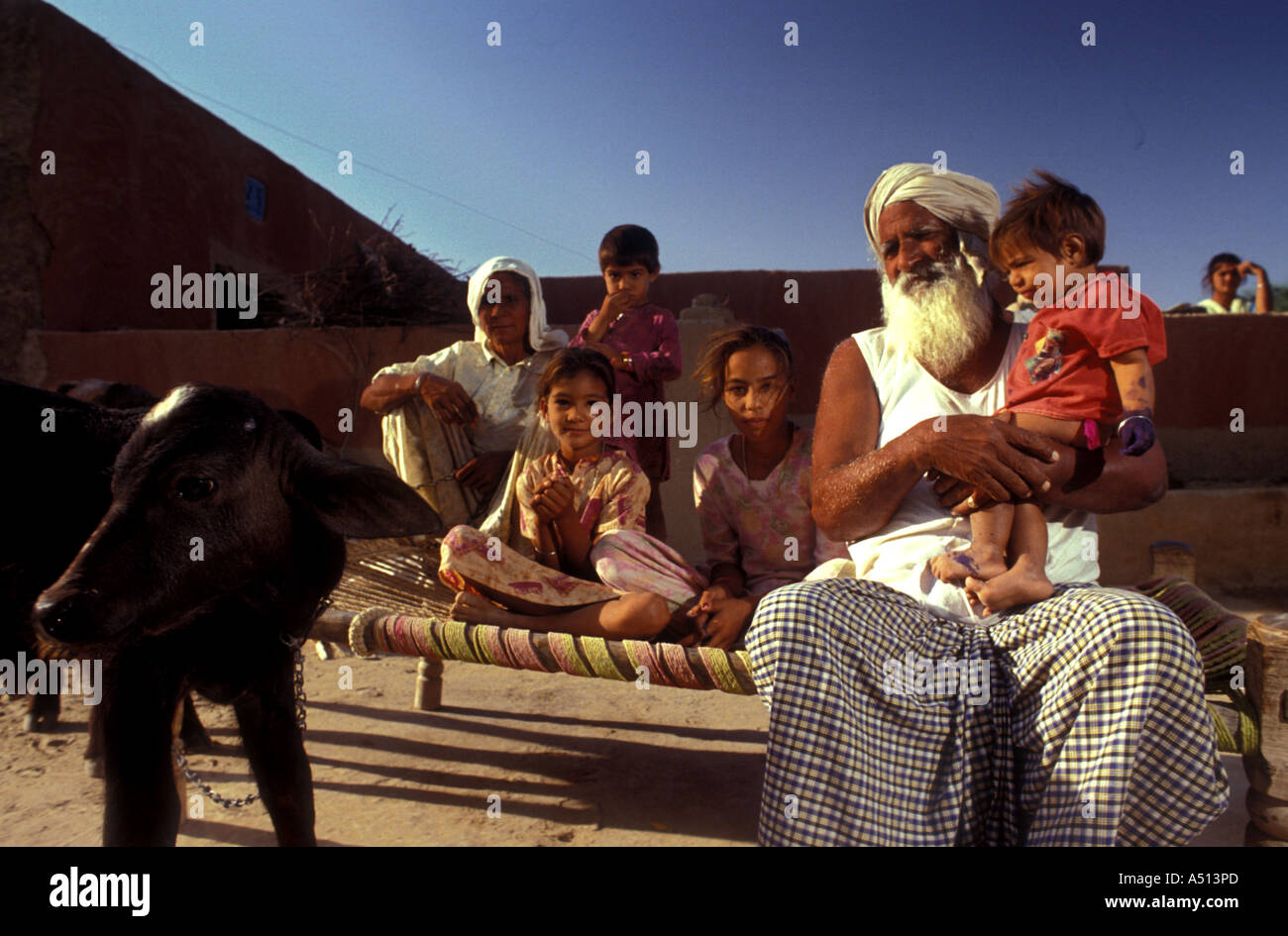 Migrant farmers settled from Punjab because of canal north Rajasthan ...