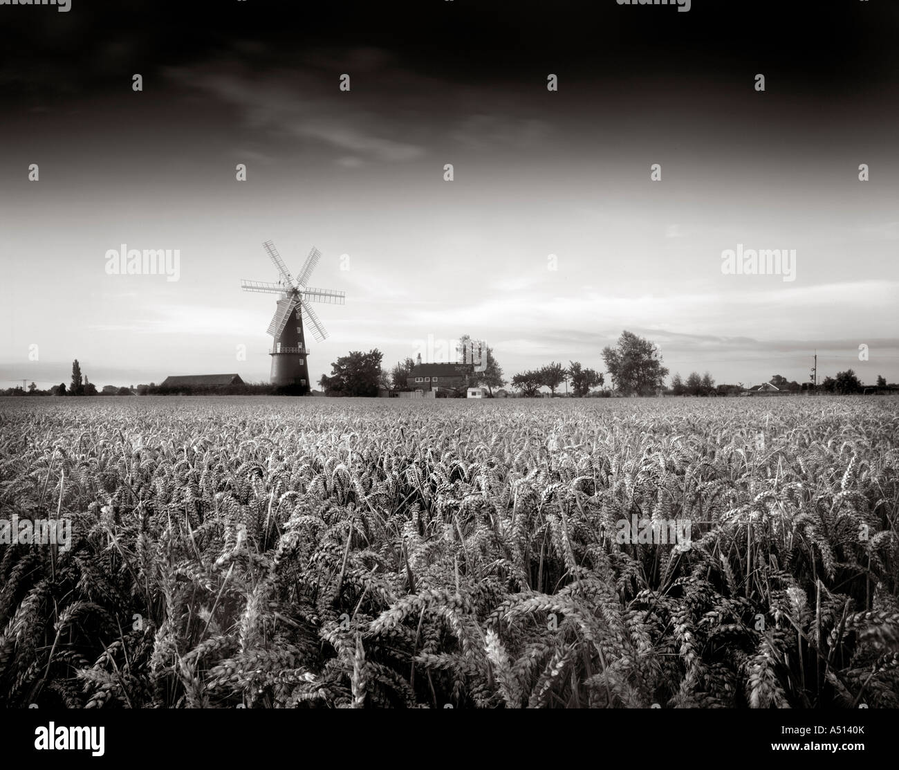 Sibsey Trader Windmill near Boston in Lincolnshire Fens Engalnd UK ...