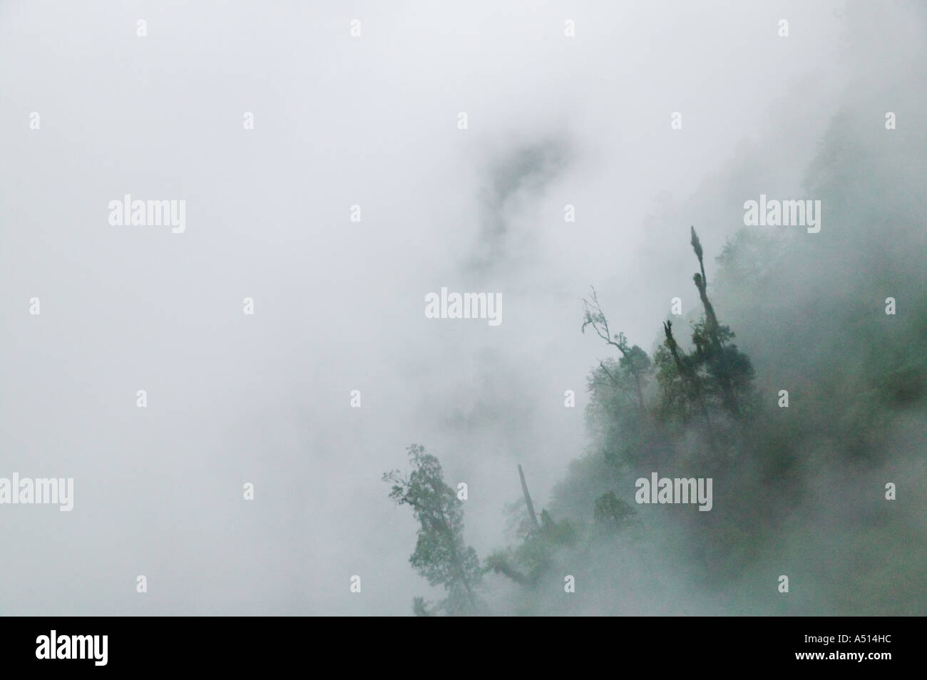 Landscape of forest in mist eastern Bhutan Stock Photo - Alamy