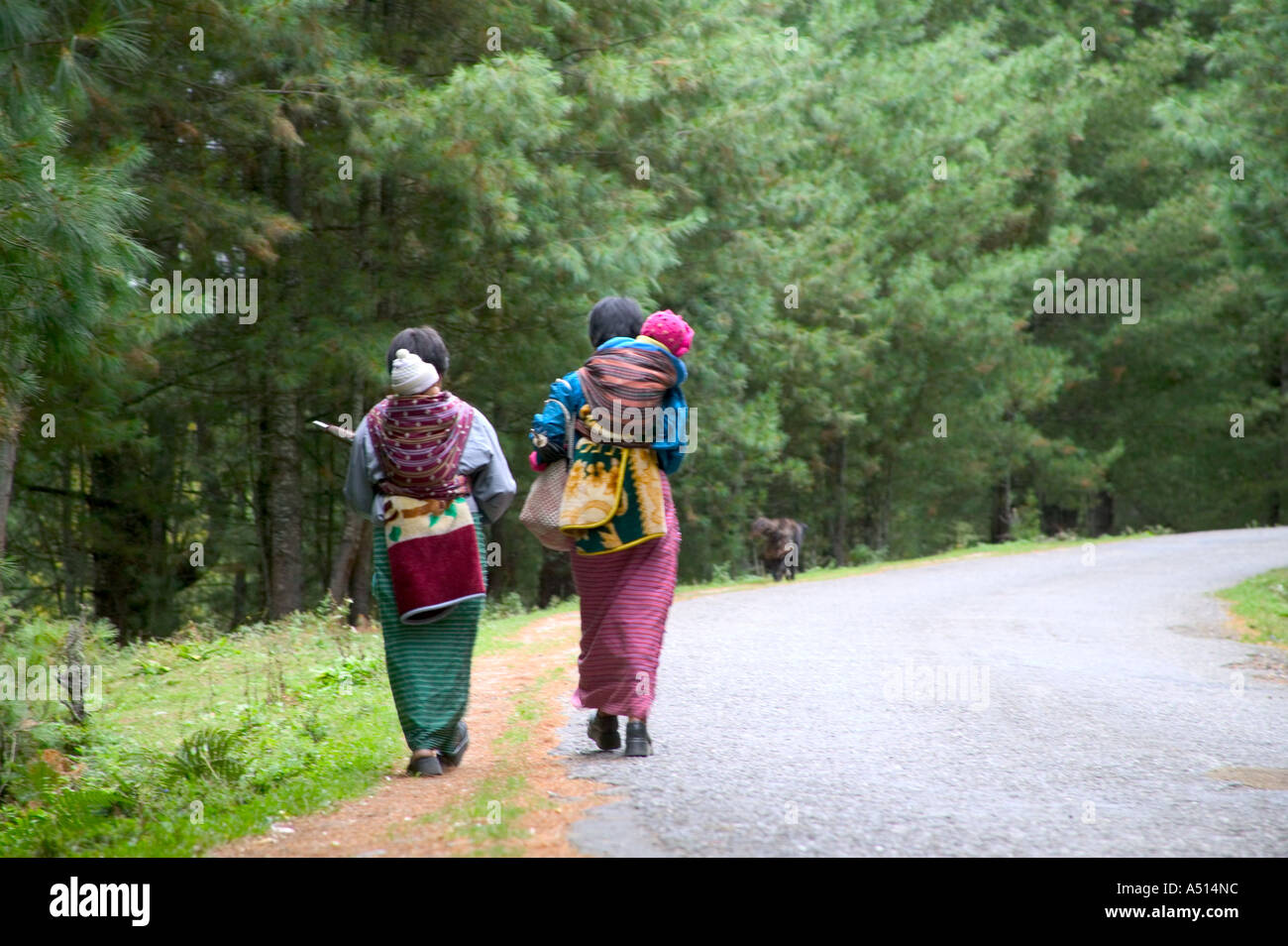 Bumthang tang valley bhutan hi-res stock photography and images - Alamy