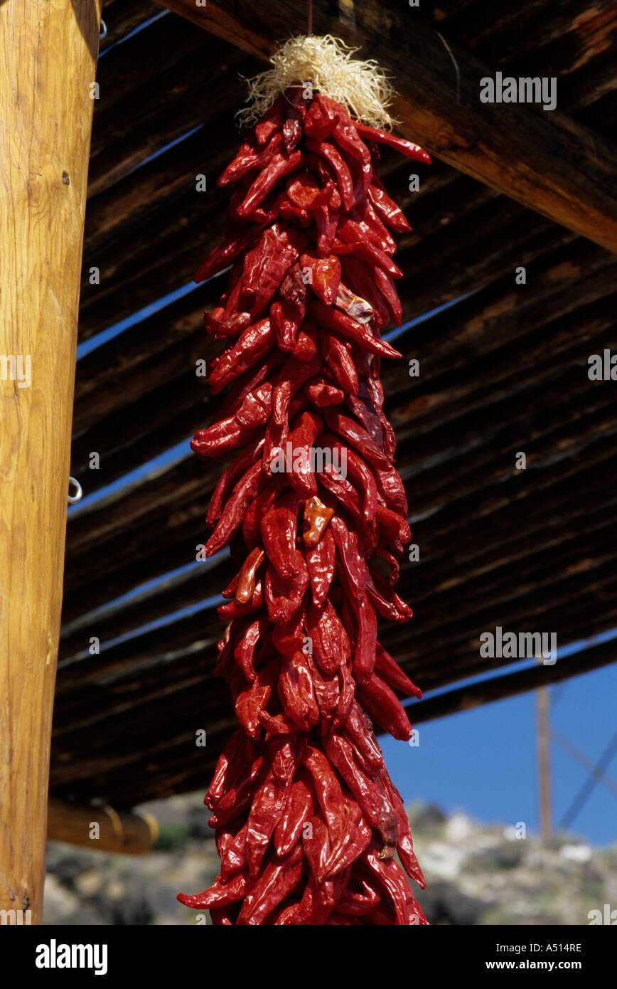 Chili pepper ristra in Albuquerque, New Mexico Stock Photo - Alamy
