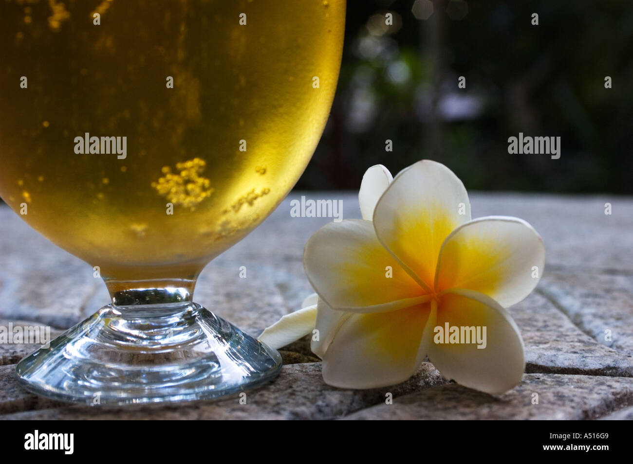 Kingfisher beer india hi-res stock photography and images - Alamy
