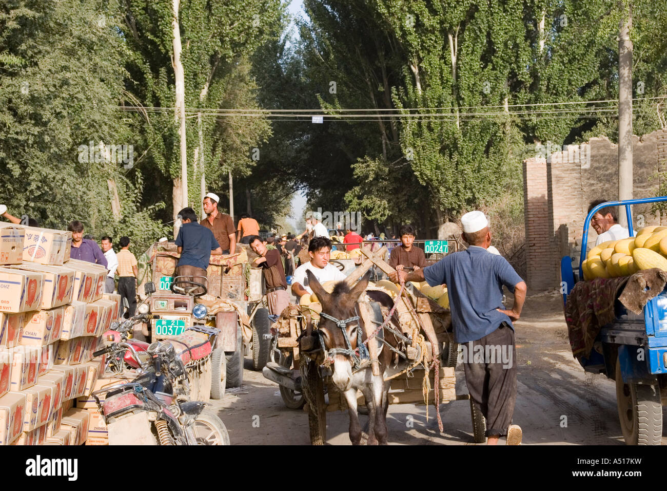 Silk road donkey cart hi-res stock photography and images - Alamy