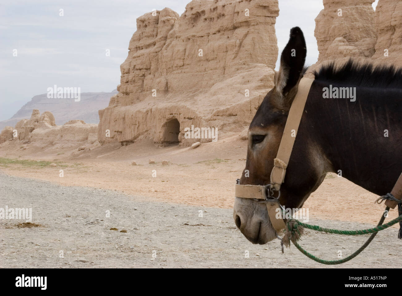 Donkey Carts carry visitors at the ruined City of Gaochang near Turpan ...