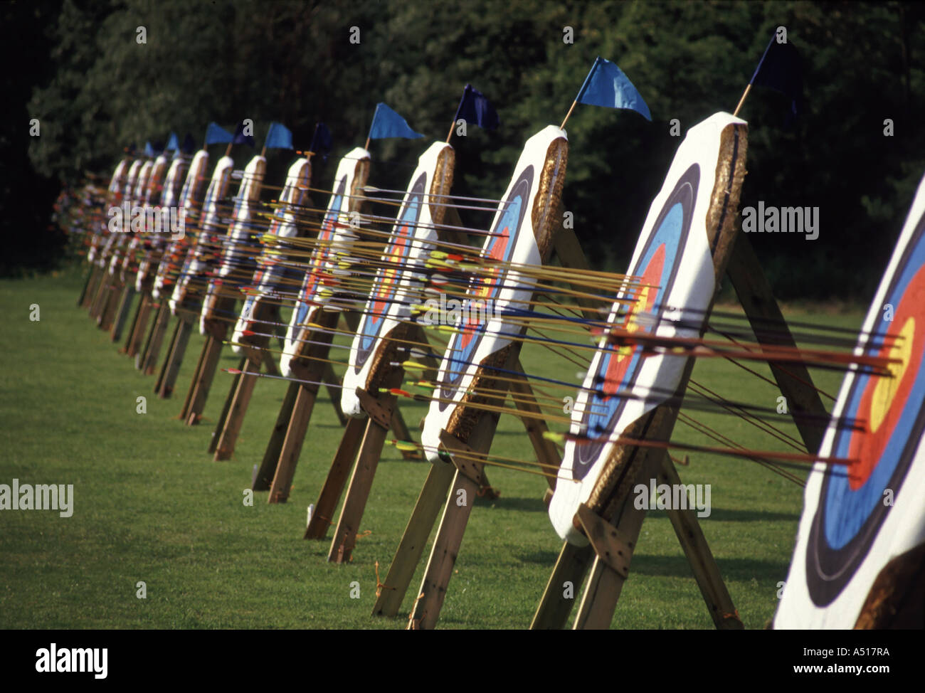 Long line of archery targets with arrows Stock Photo - Alamy