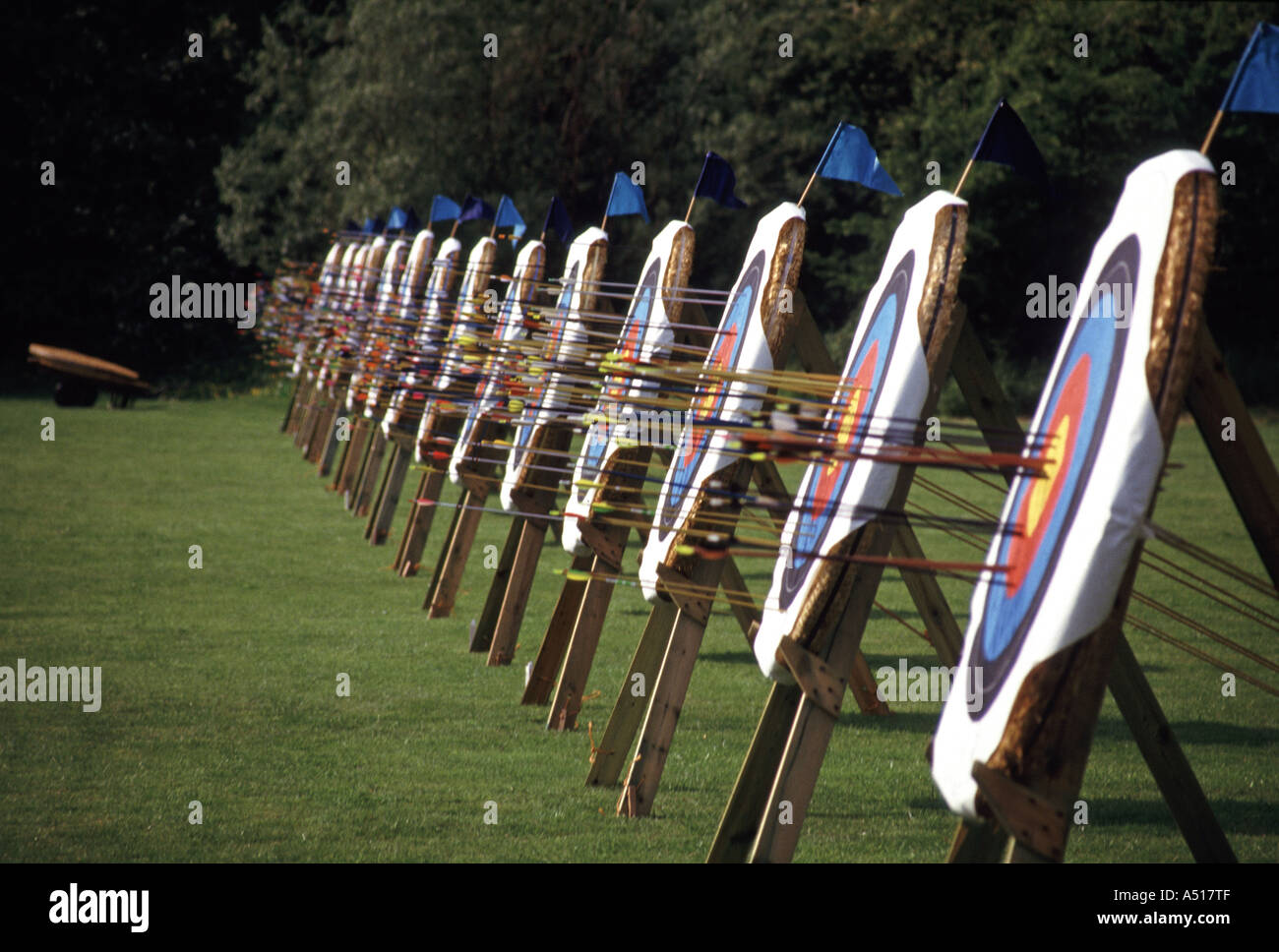 Long line of archery targets with arrows Stock Photo - Alamy