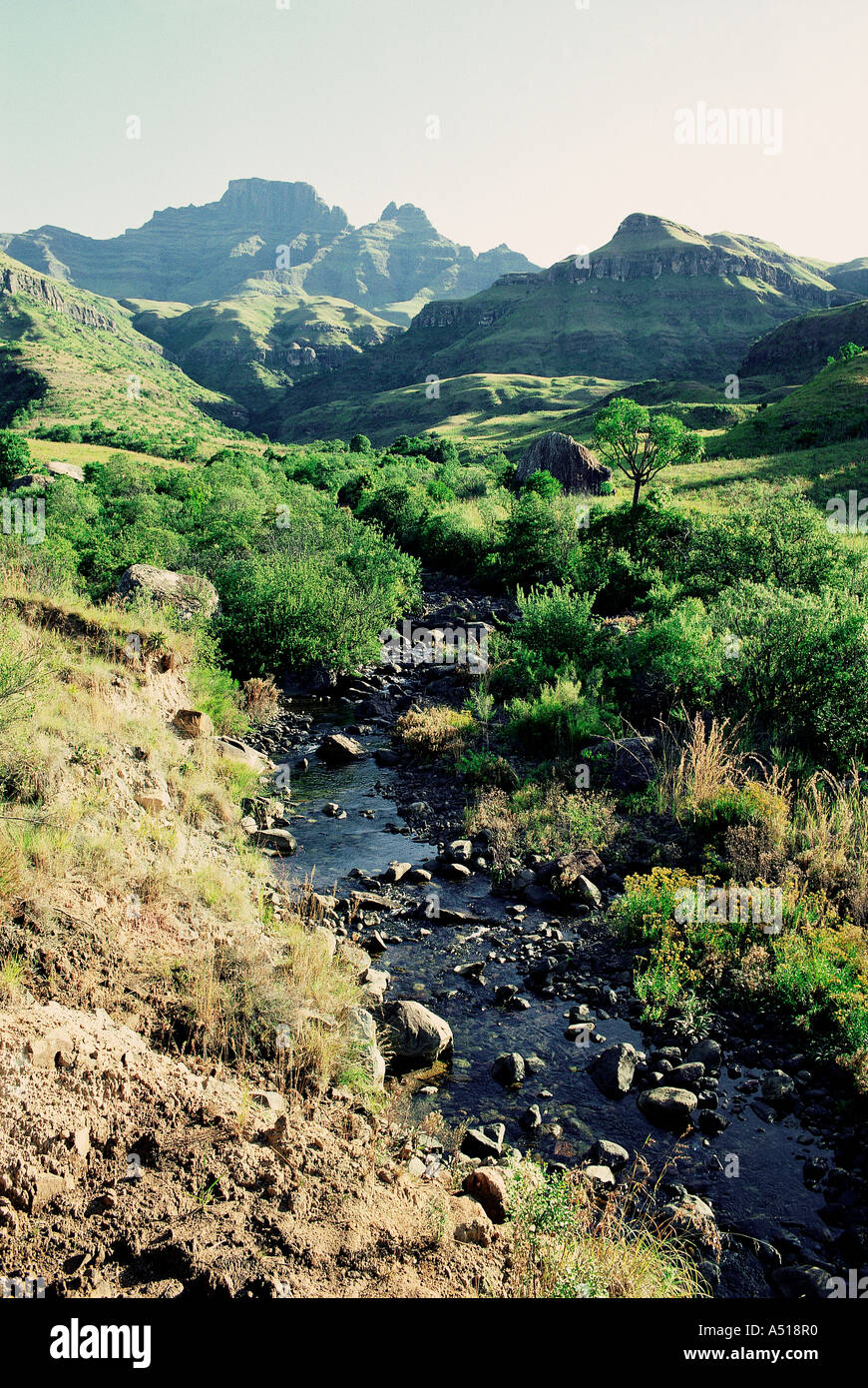 Champagne Castle and a stream high in the Drakensberg Mountains South ...