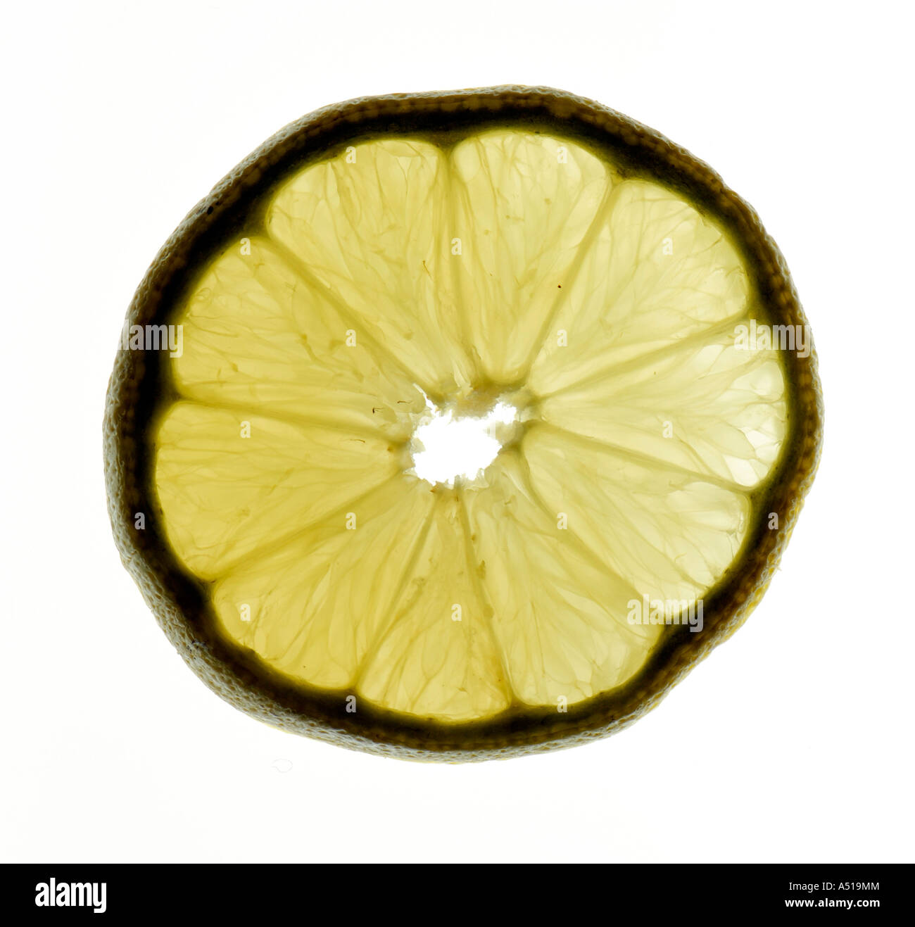 Section of Lemon on lightbox Stock Photo - Alamy