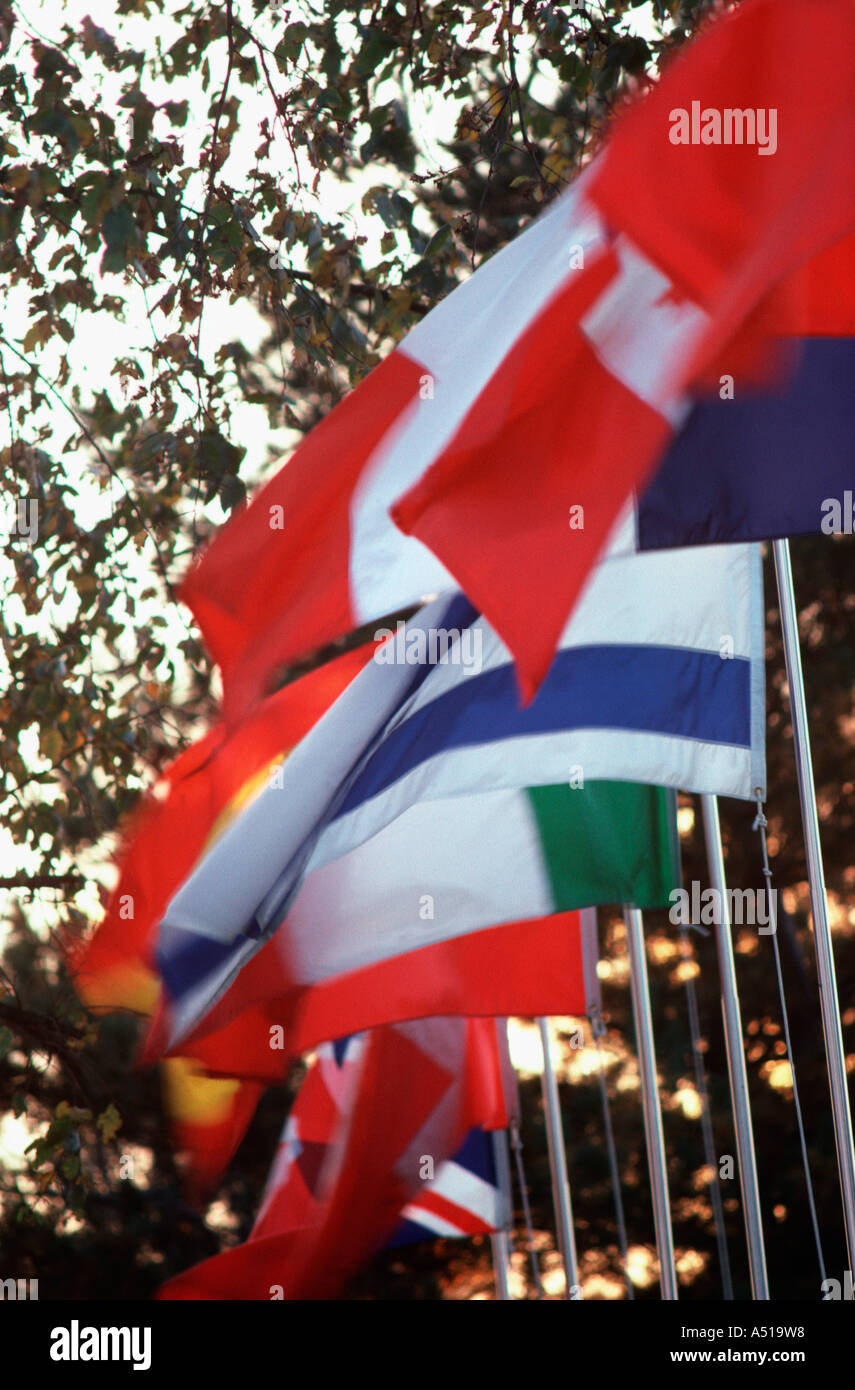 International flags flying at United Nations New York USA Stock Photo ...