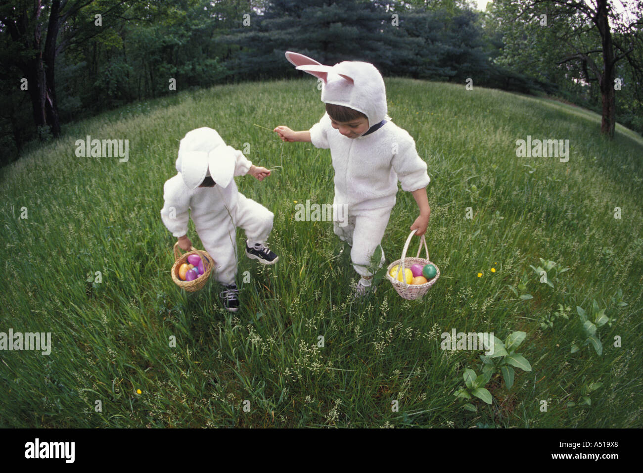 little boys in Easter bunny costumes Stock Photo - Alamy