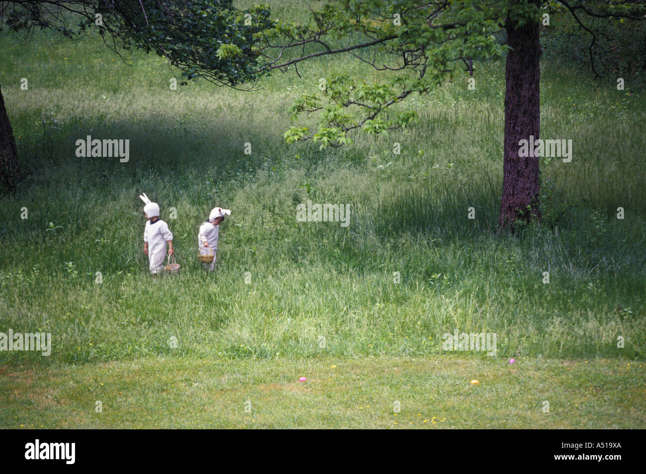 little boys in Easter bunny costumes Stock Photo - Alamy