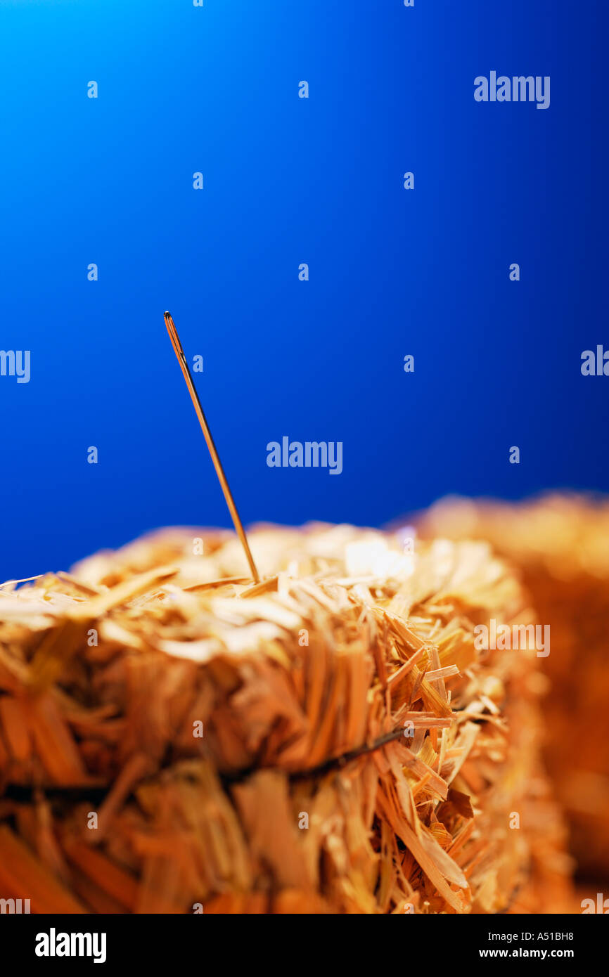 A needle in a haystack hi-res stock photography and images - Alamy