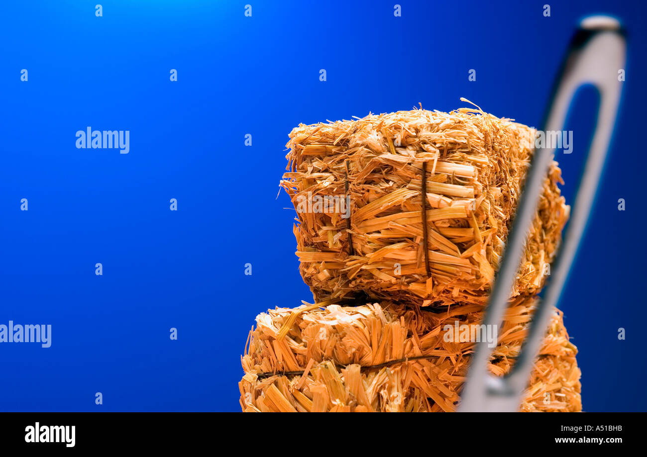 Needle in a haystack concept hi-res stock photography and images - Alamy