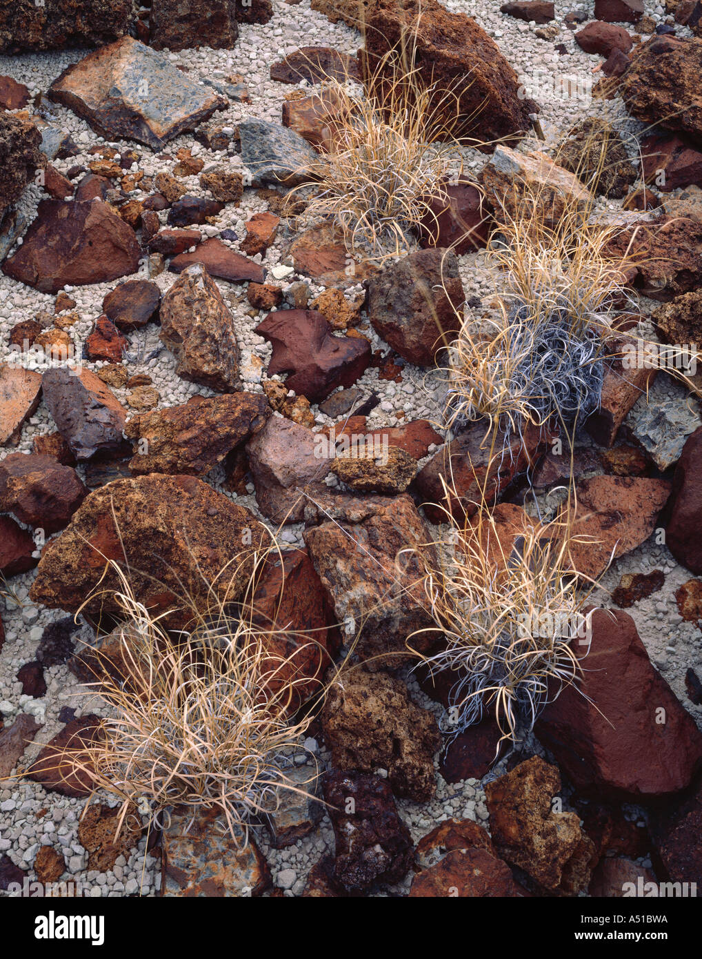 Rocks and grass Stock Photo - Alamy
