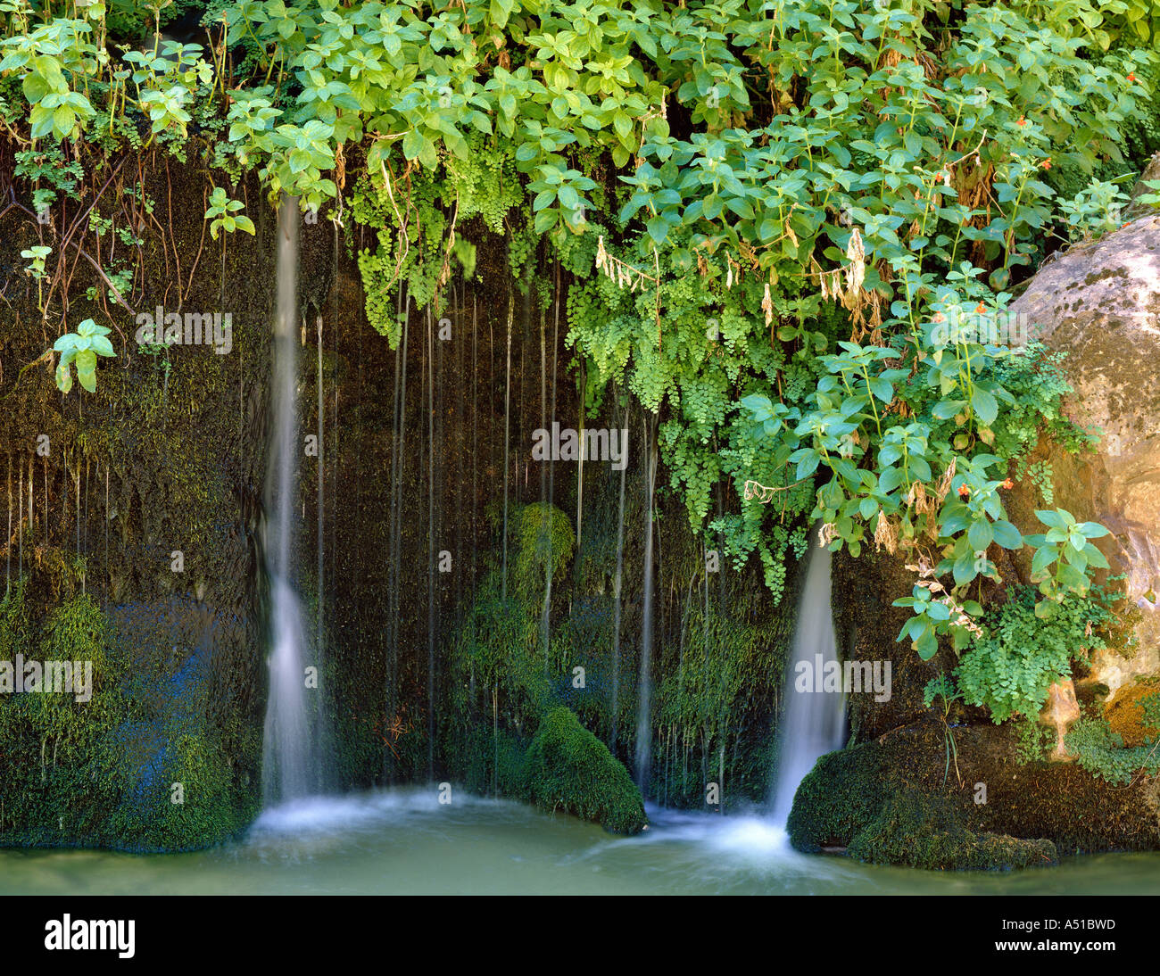 Big springs zion national park hi-res stock photography and images - Alamy