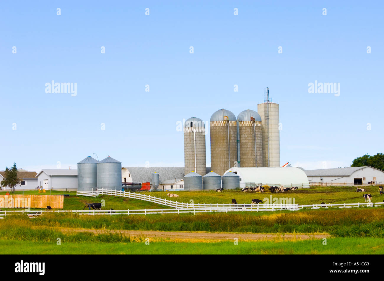 Dairy farm in Alberta Stock Photo - Alamy