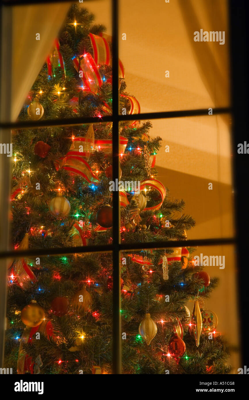 Looking at indoor Christmas tree through window Stock Photo - Alamy