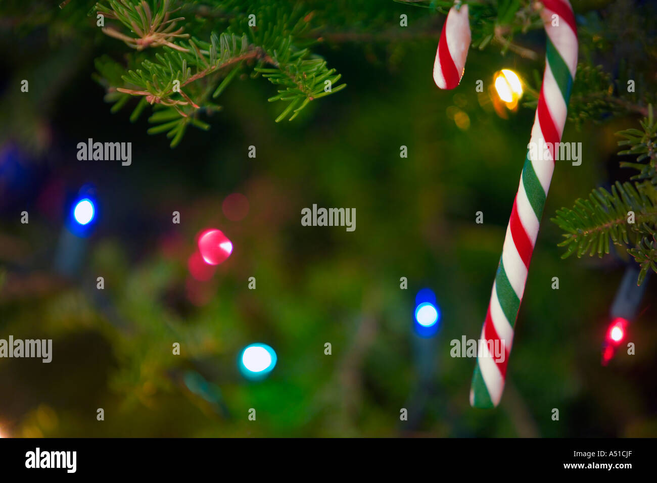 Gan2222 hi-res stock photography and images - Alamy