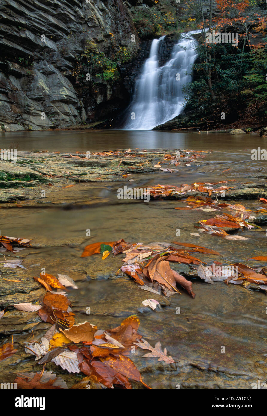 Waterfall cascading into stream Stock Photo - Alamy