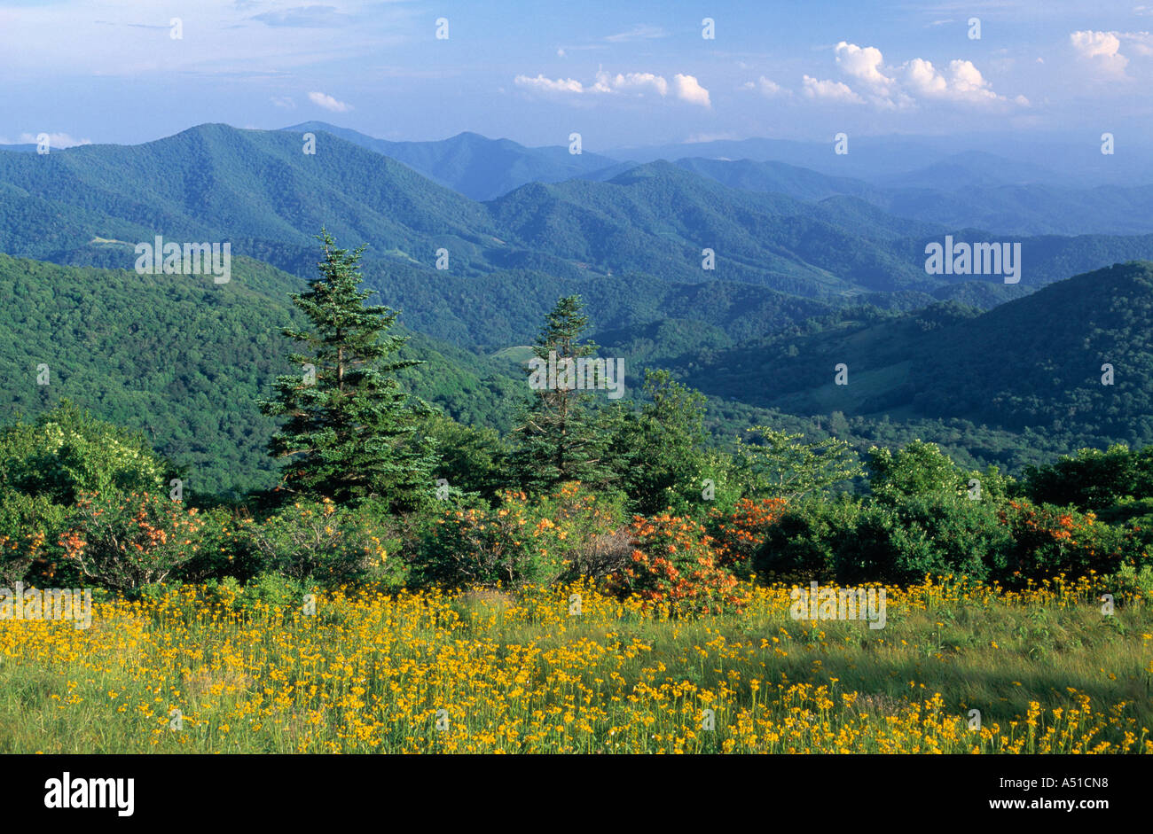 Roan mountain hi-res stock photography and images - Alamy