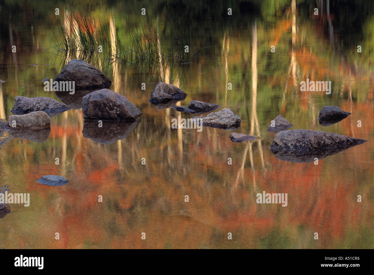 Pond with rocks hi-res stock photography and images - Alamy